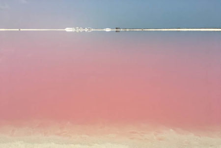 Expectativa y realidad de Las Coloradas, el "mar rosa" de Yucatán - La ...